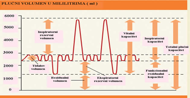 Spirometrija i plućni volumeni - Zdravlje